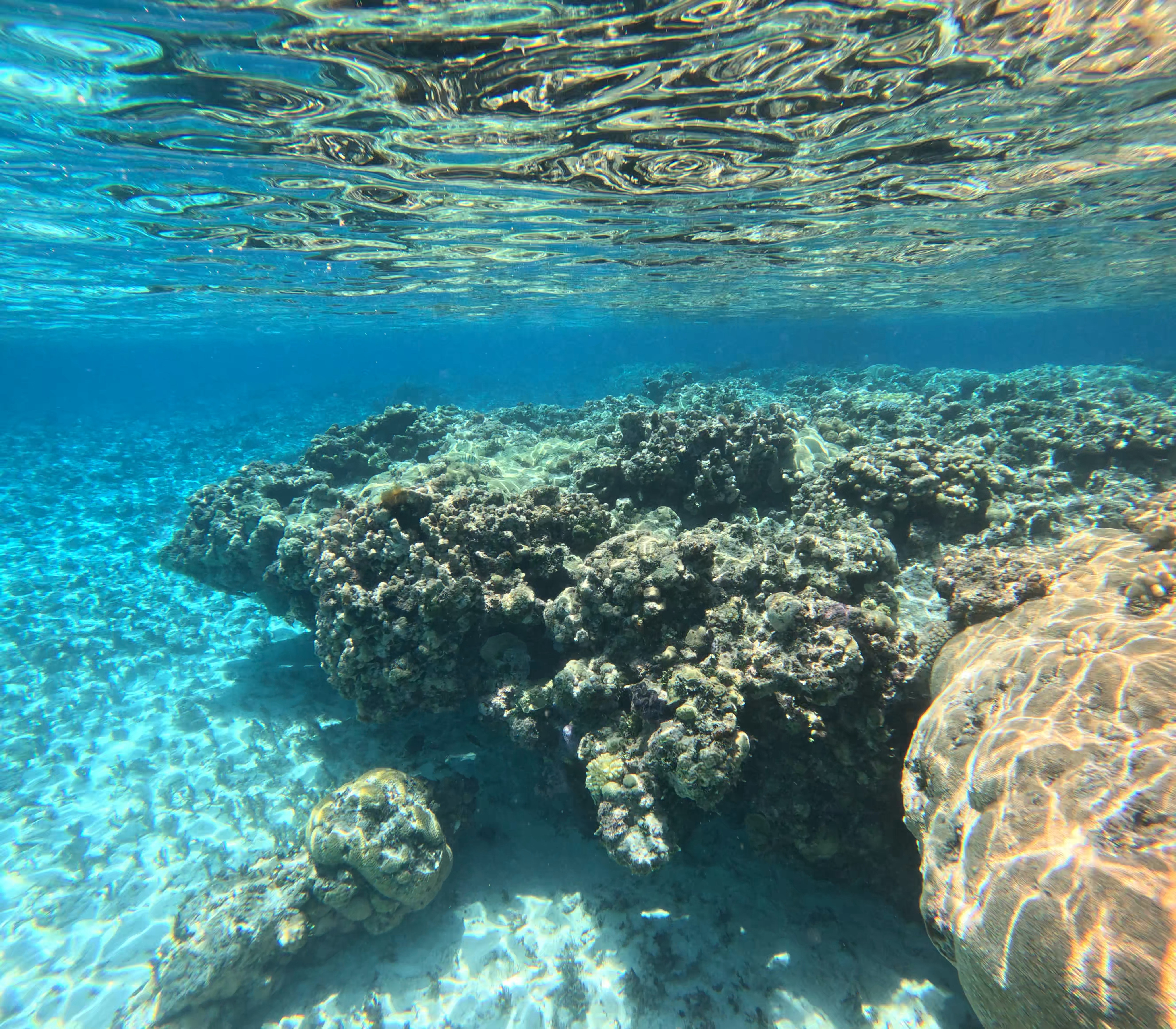 Magnificent Minerva Reef – Sailing Tieton